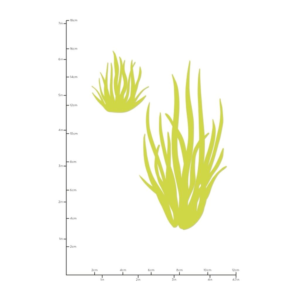 Decorative Die Seagrass – Go Craft