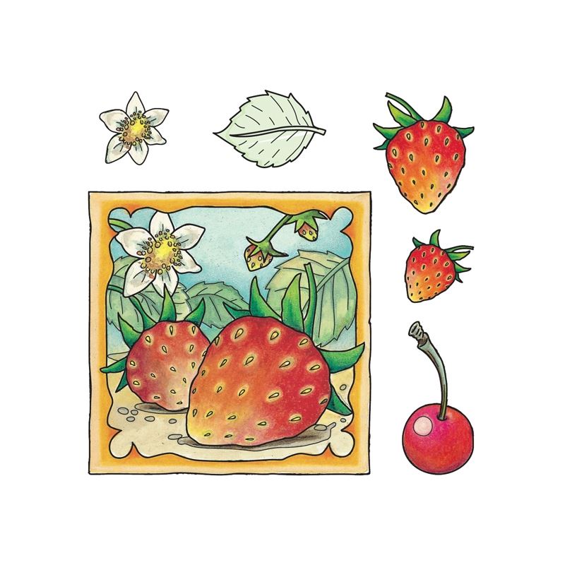 MRJ Clear Stamps Strawberry – Go Craft